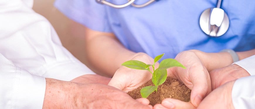 MDS Associates - Leaders in Eco-Friendly Healthcare Supplies – MDS ...